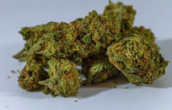 What Is the Super Boof THCa Strain & Where Can You Get It?